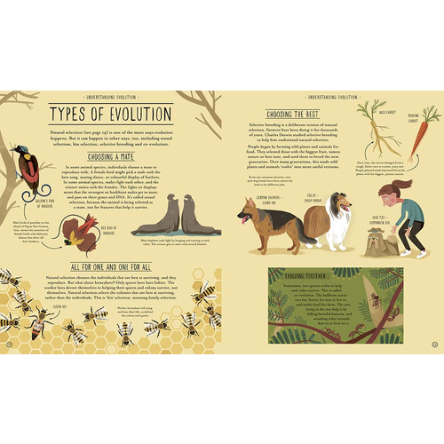 Amazing Evolution - Books-Non-Fiction : Craniums - Books | Toys ...