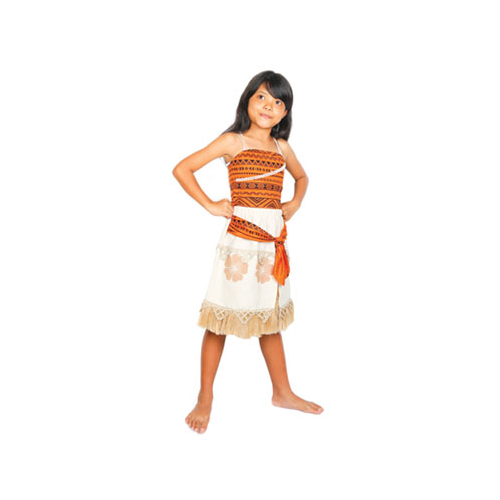 Costume Aloha Girl Toys Imaginative Play Dress Ups Craniums Books Toys Hobbies