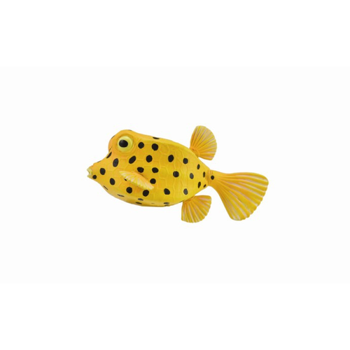 CollectA Yellow Boxfish - Brands-Collecta : Craniums - Books | Toys ...