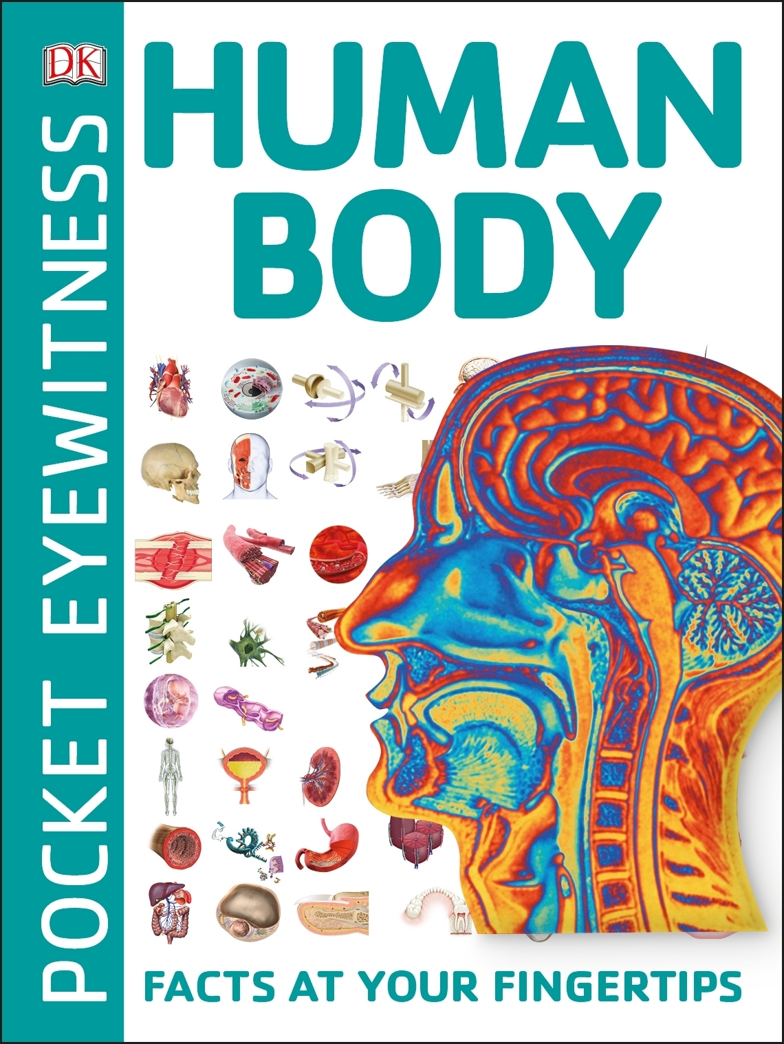 Pocket Eyewitness Human Body - Books-Science : Craniums - Books | Toys ...